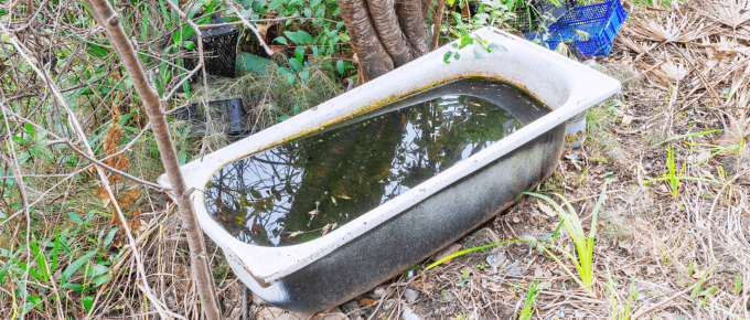 OMG, Moldy Water! Don't Panic (Here's What to Do ASAP)